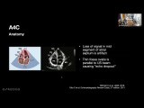 Echo Core Curriculum: Comprehensive Transthoracic Echocardiogram ...