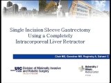 SILS Sleeve Stomach Excision With An Intracorporeal Retraction Of The ...
